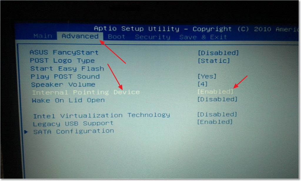 Internal Pointing Device